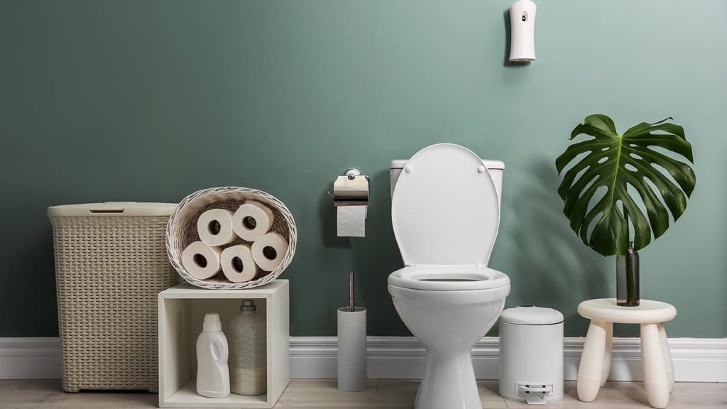 ¿Cómo funciona un sanitario ecológico? MN Home Center
