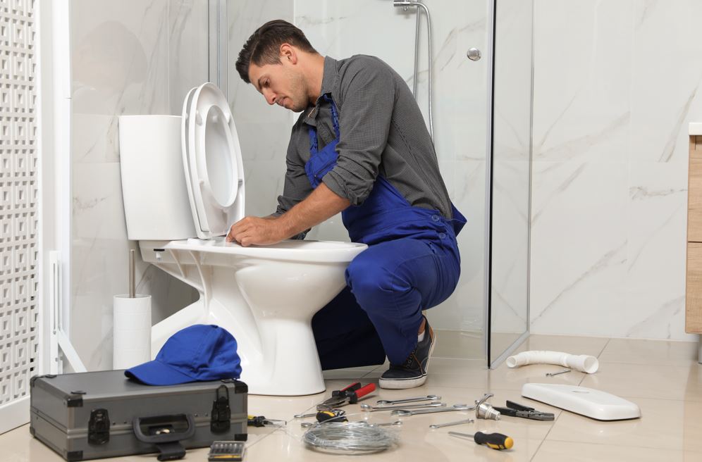 ¿Cómo elegir el sapo correcto? | MN Home Center