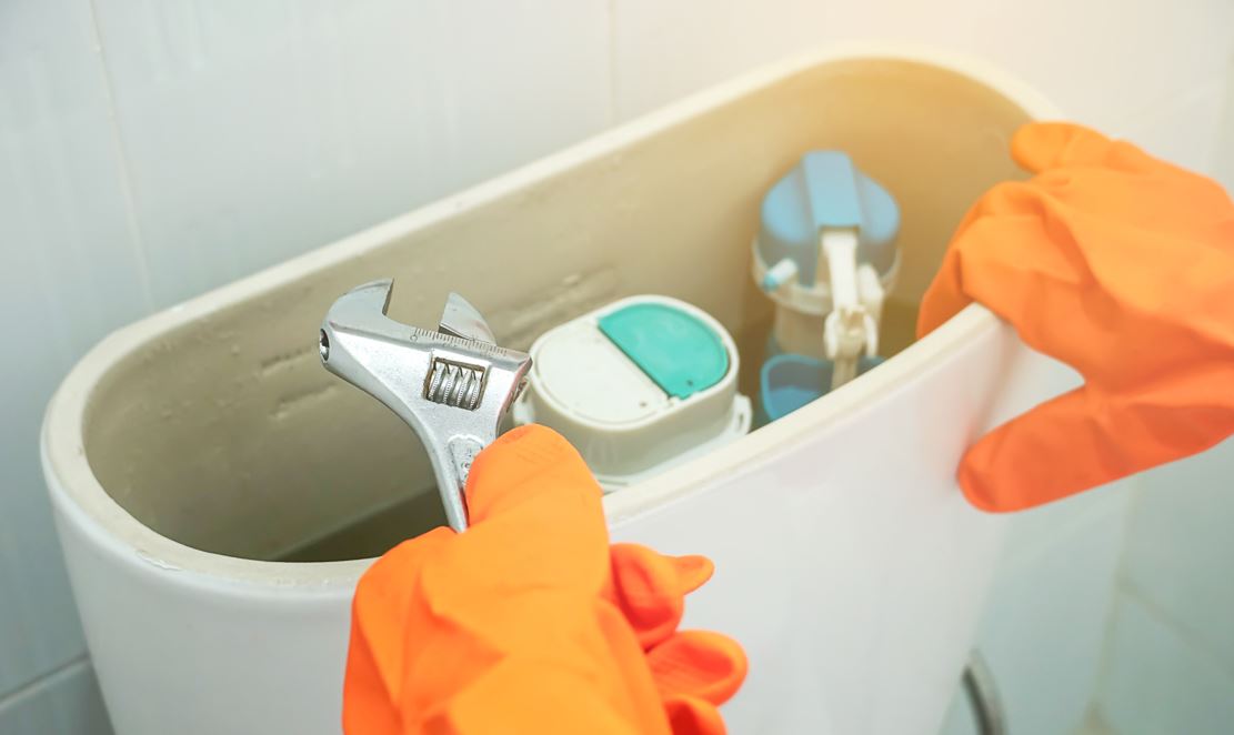 ¿Cómo elegir el sapo correcto? | MN Home Center MN Home Center