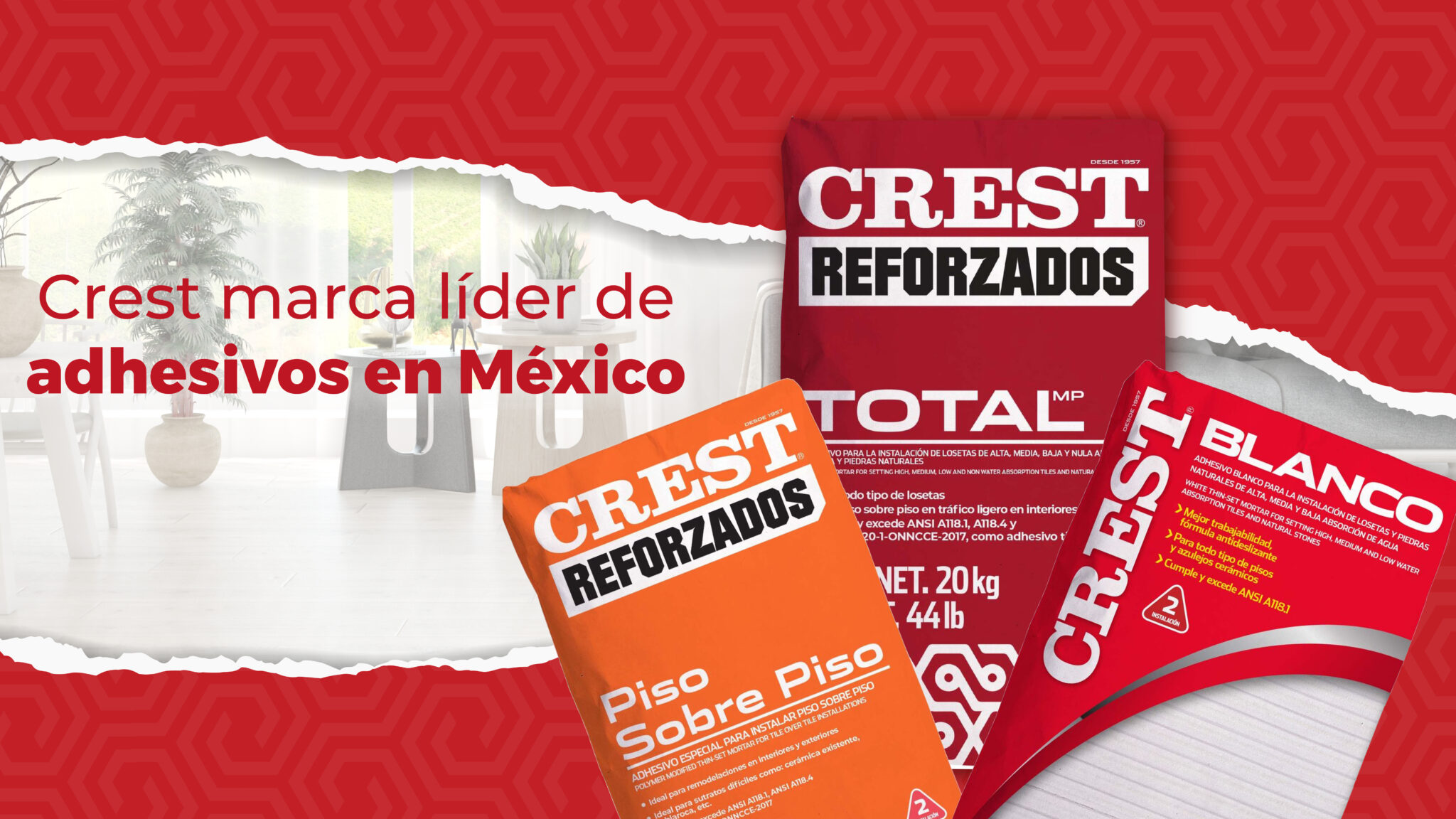 CREST, marca líder de adhesivos en México | MN Home Center